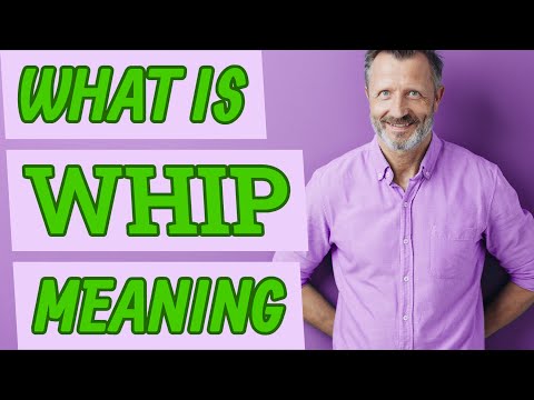 Whip | Meaning of whip