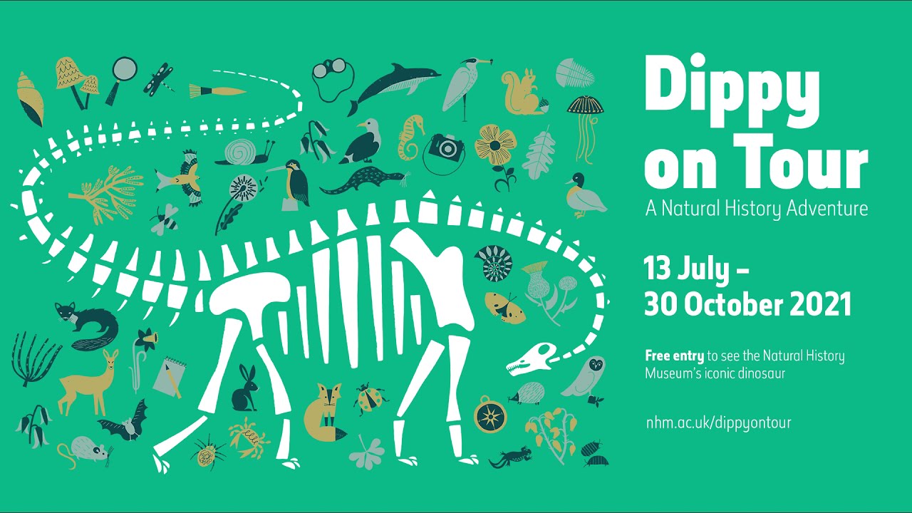 Dippy on Tour | Natural History Museum