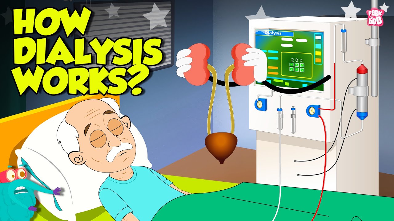How Does Dialysis Work? | Kidneys & Blood Cleaning Explained | Dr. Binocs Show