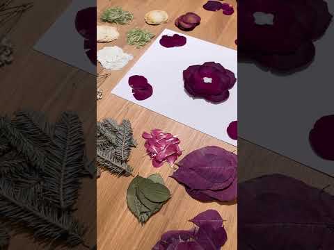 Dried Flower Petals πΌ #art #flowers #love #petals #red #rose #today #trending #trend #reels #shorts