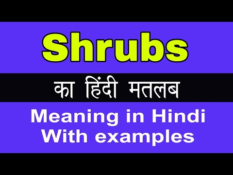 Shrubs Meaning in Hindi/Shrubs का अर्थ या मतलब क्या होता है