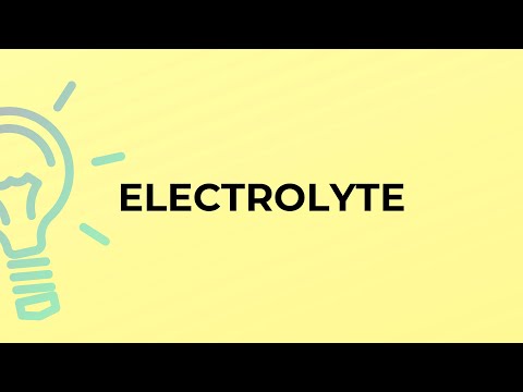 What is the meaning of the word ELECTROLYTE?