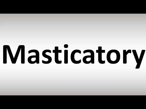 How to Pronounce Masticatory
