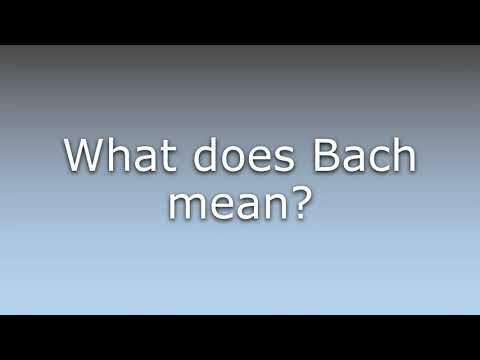 What does Bach mean?