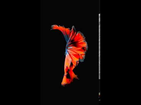 Animated Wallpaper n.9 from iPhone 6s and iOS 9 | iSpazio.net Exclusive