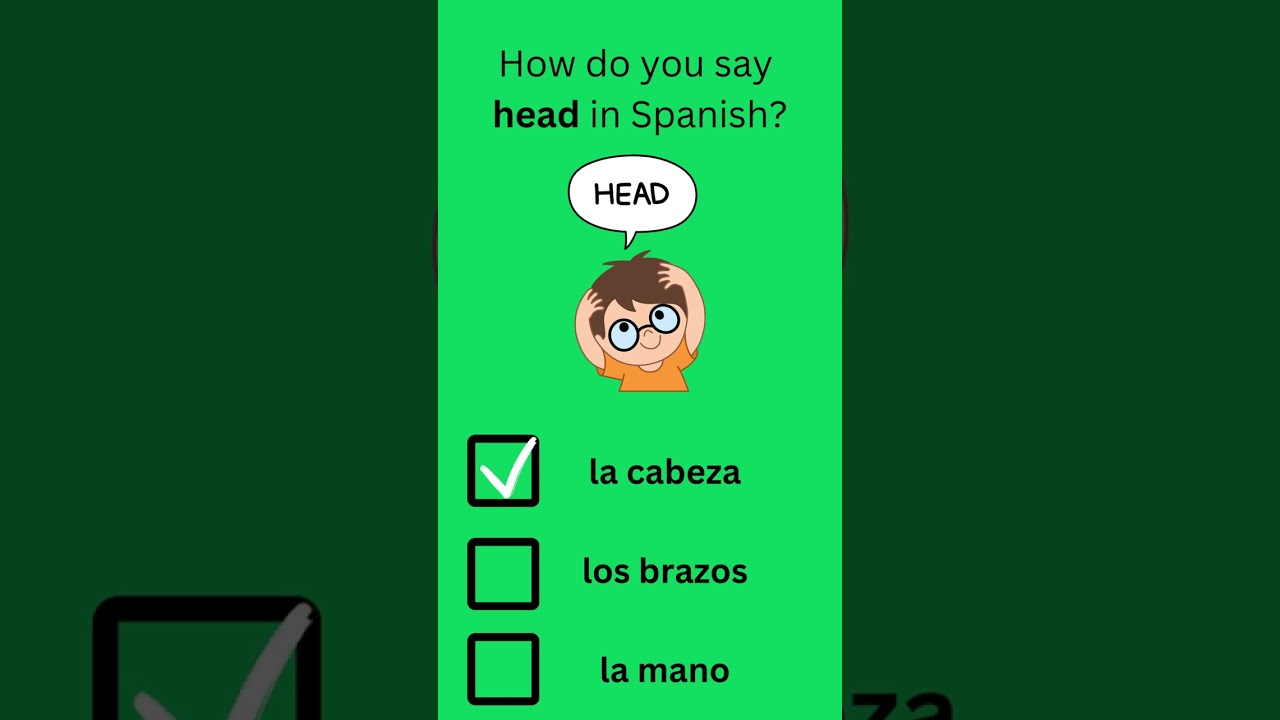 Spanish Body Parts Quiz