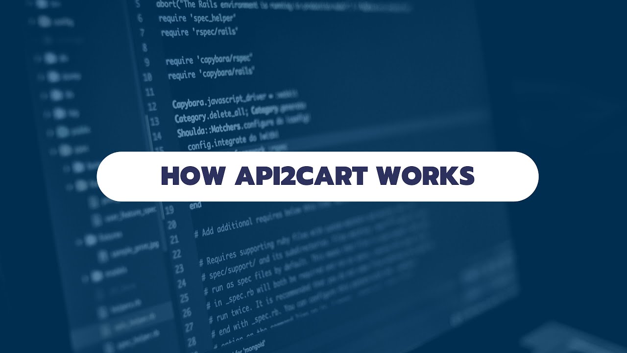 How API2Cart Works? (the workflow)