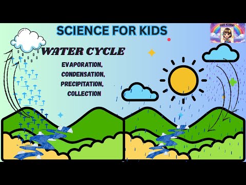 Science for Kids : WATER CYCLE : Evaporation , Condensation, Precipitation, Collection.
