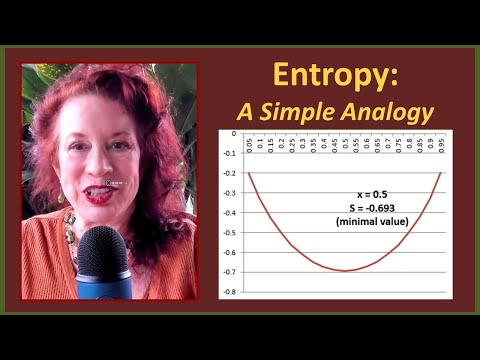 CORTECONs: How Entropy Grounds Neuronal Dynamics (Analogy-Story)