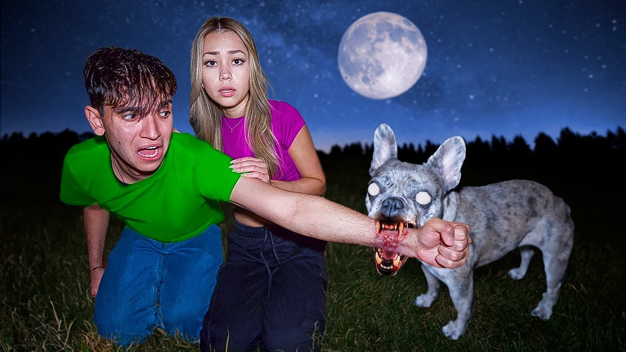 MY POSSESSED DOG BIT MY BOYFRIEND!