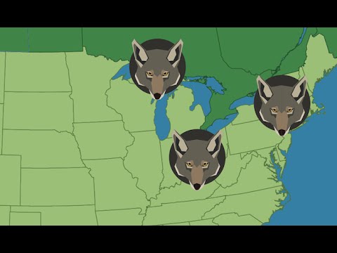 Science Forward--Urban Ecology