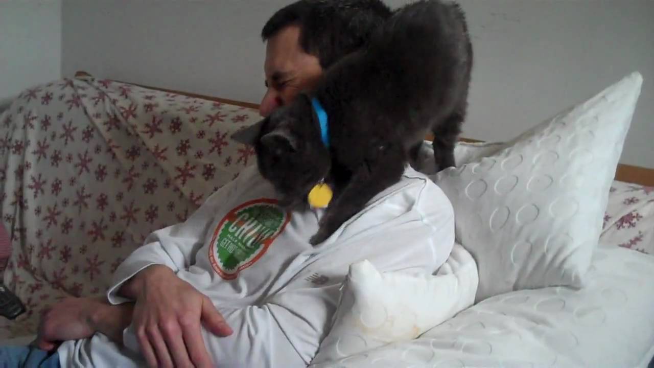 Milo takes on Daddy with a cuddle attack
