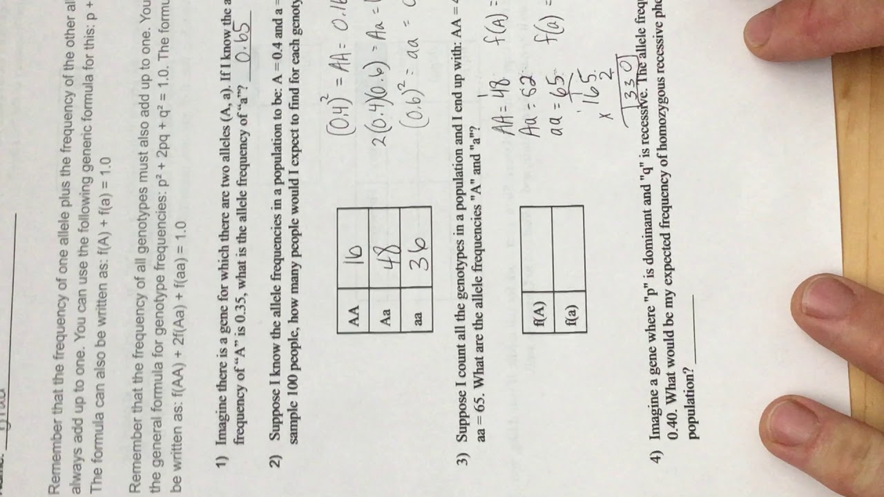 Population Genetics Worksheet Video Walkthrough