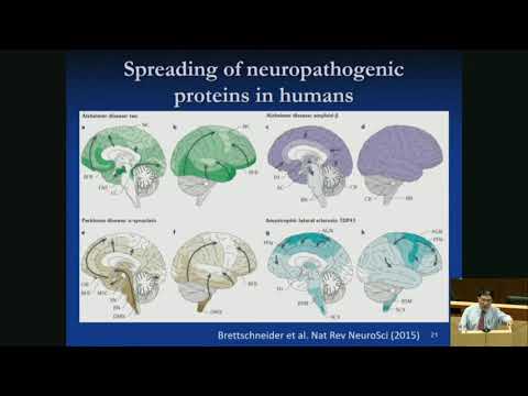 Influence of ambient air pollution on brain health trajectories during development and aging