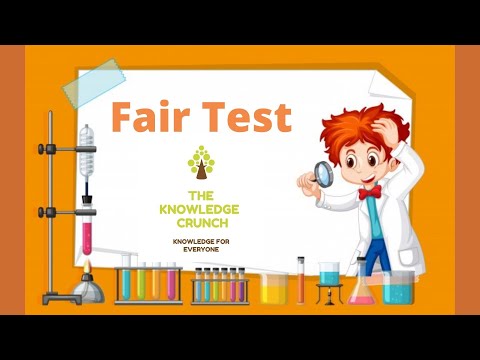 Fair test