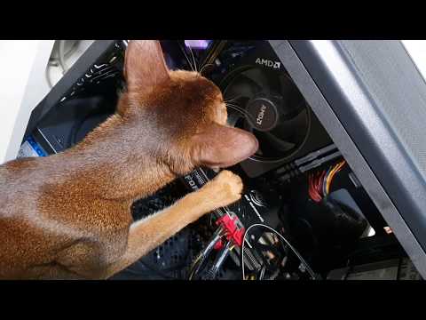 AMD Ryzen 9 3900X Overclocking
