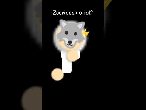 uioplkn zsaeqwr2024