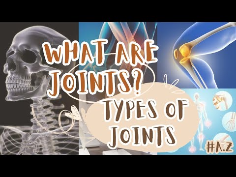What Are Joints? Types of Joints | Fibrous, Cartilaginous and Synovial Joints