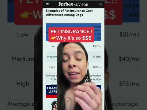 Pet Insurance: WHAT YOU NEED TO KNOW ๐ Follow for daily dog tips!
