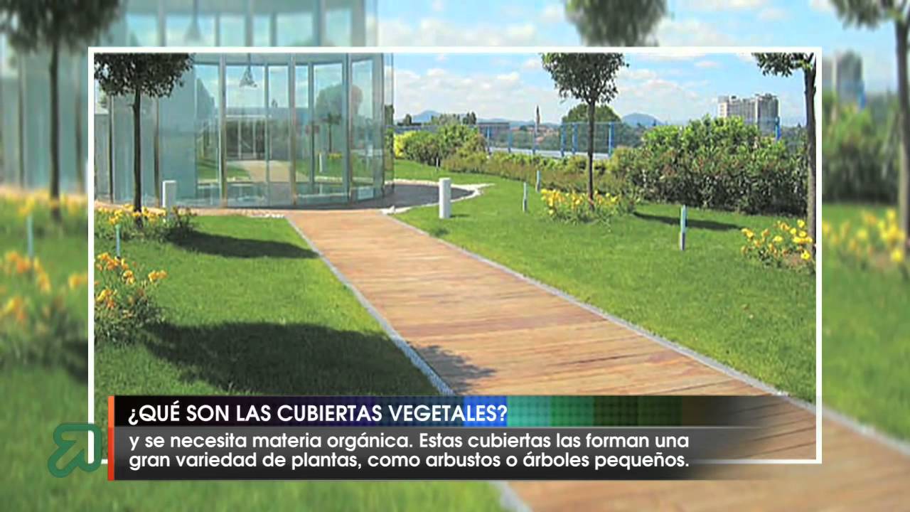 ¿Qué son las cubiertas vegetales?