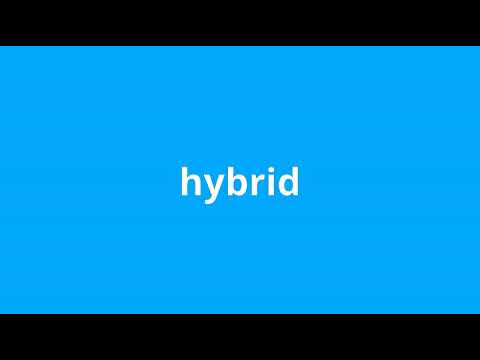 what is the meaning of hybrid.