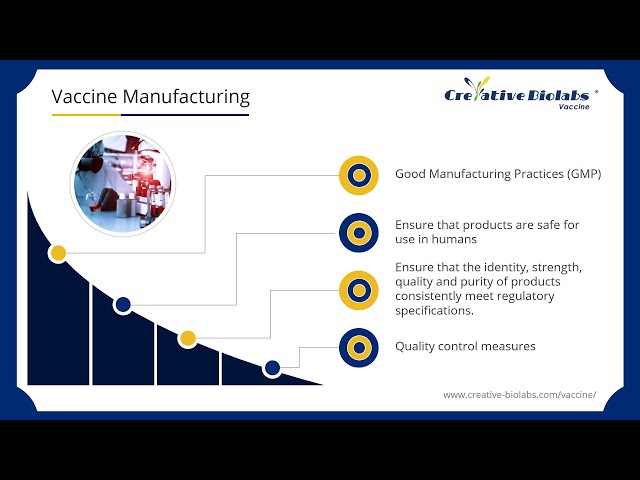 A Comprehensive Guide to Vaccine Development and GMP Manufacturing ...