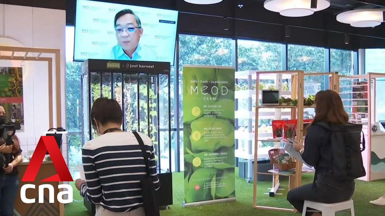 Innovative culinary hub launched in Singapore to help F&B businesses collaborate