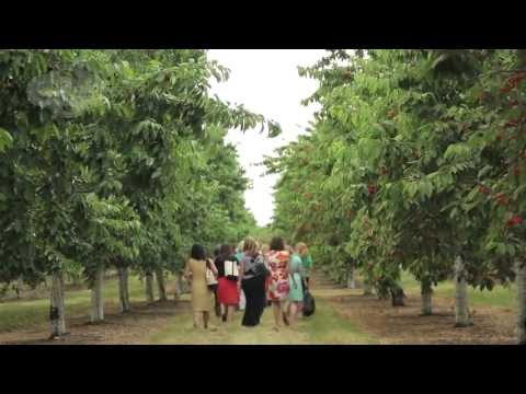 State of Great Taste | VIDEO | Private Selection