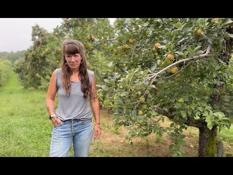 Scott Farm's Apple Orchard Harvest Devastated By Generational Storm