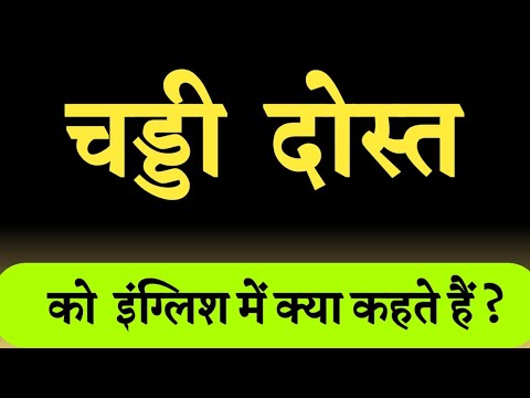 चड्डी दोस्त को इंग्लिश में क्या कहते है।Chaddi dost ko english me kya kahte hai.Meaning in english