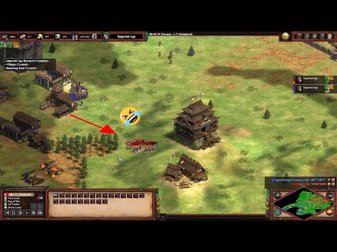 Steam Community :: Video :: Epic Warwolf Trebuchet massacre 2 [AoE2]