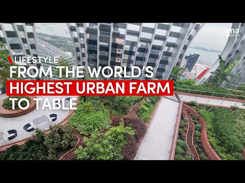 The 1-Arden Food Forest at CapitaSpring is the world’s highest rooftop ...