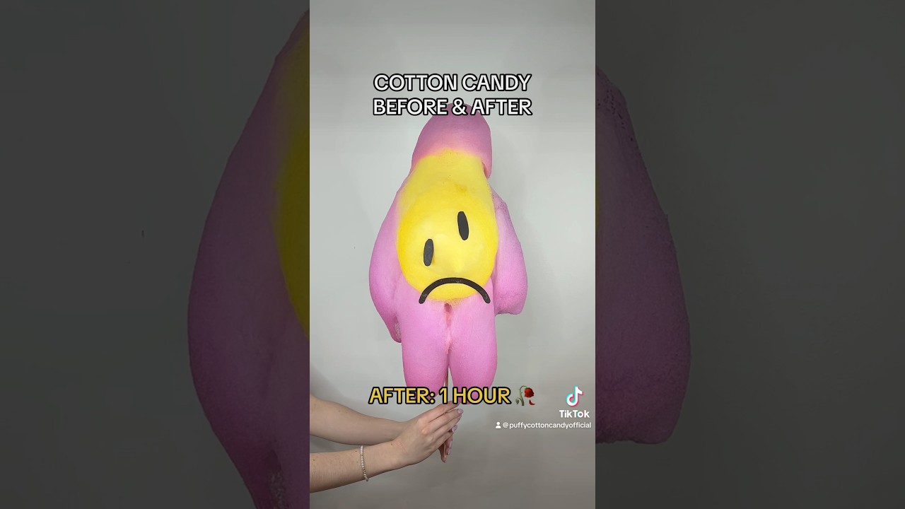 FLOWER FROM BFDI MELTS FAST!