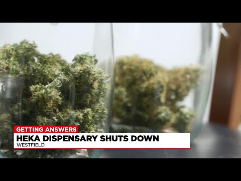 Local marijuana dispensary highlights importance of combatting over-saturation