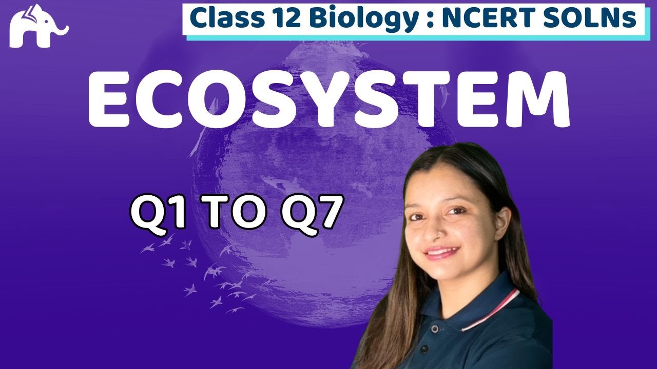Ecosystem Class 12 Biology | Chapter 14 NCERT Solutions Questions 1-7 NEET CBSE MCQs Bio
