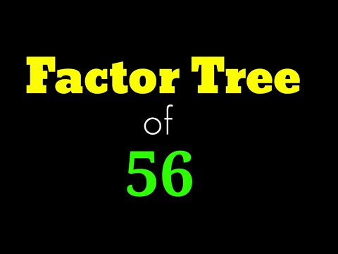 Factor Tree Of 56