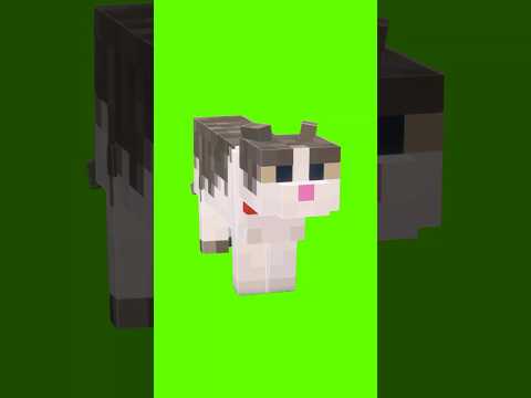 Minecraft - OIIA OIIA (Spinning Cat)
