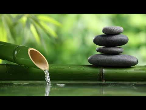 Relaxing Bamboo Water Fountain 🎍💦 [with background music] (3 hours)