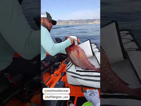 Kayak Fish Cooler Bag in Action 🎣 | Keep Your Catch Fresh with Buffalo Gear
