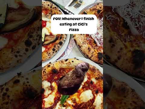 CiCi’s Pizza: The Buffet That Defeats Us All 🍕😂