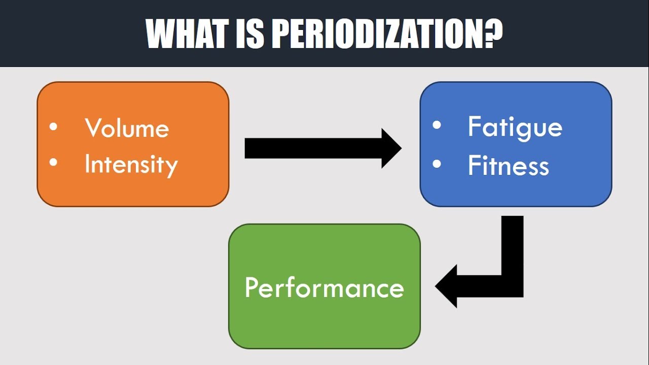 Understanding Periodization: A Guide to Optimizing Athletic Training ...