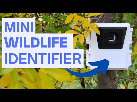 Mini Raspberry PI Wildlife Monitor!