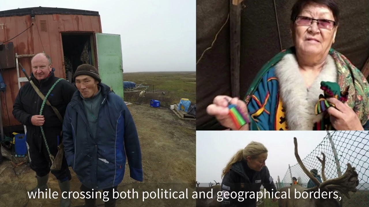 World Wildlife Day Partnerships for Conservation