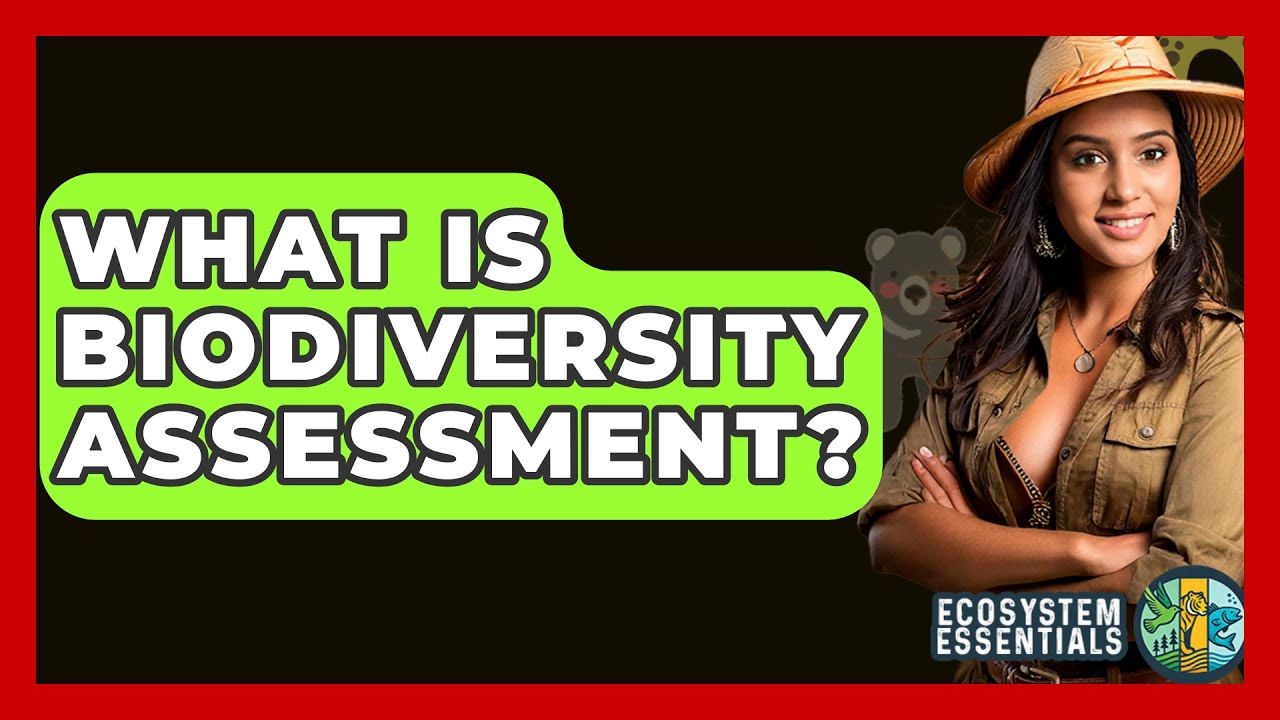 What Is Biodiversity Assessment? - Ecosystem Essentials
