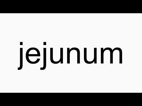 How to pronounce jejunum