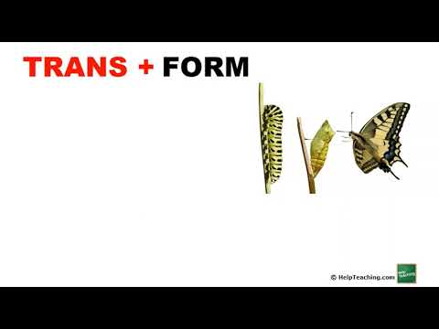 Prefix Trans