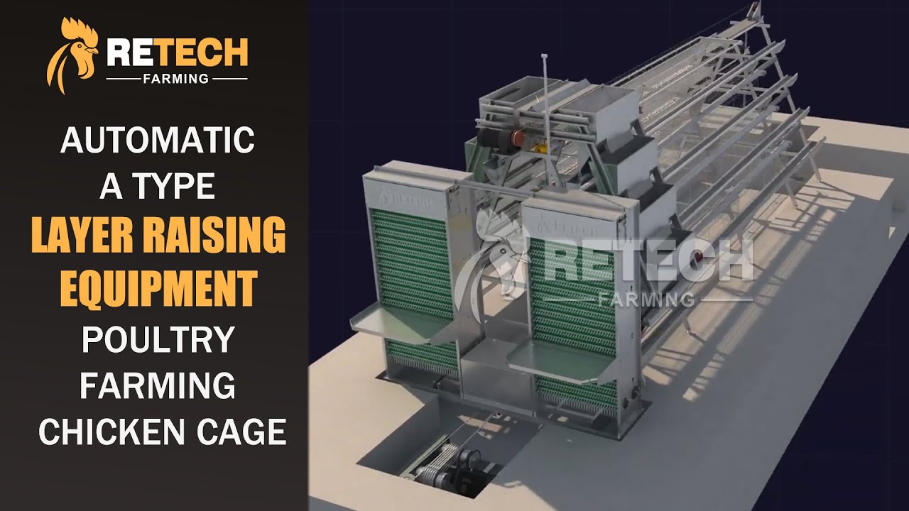 Automatic A Type Layer Raising Equipment Poultry Farming Chicken Cage -RETECH Farming #poultryfarm
