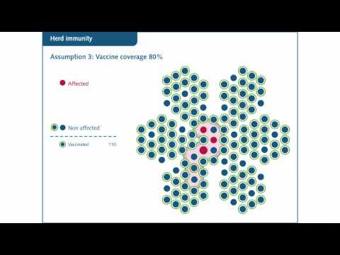 What is herd immunity?