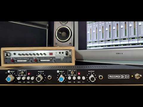 Api 312 style preamp 2 channel handmade | Reverb