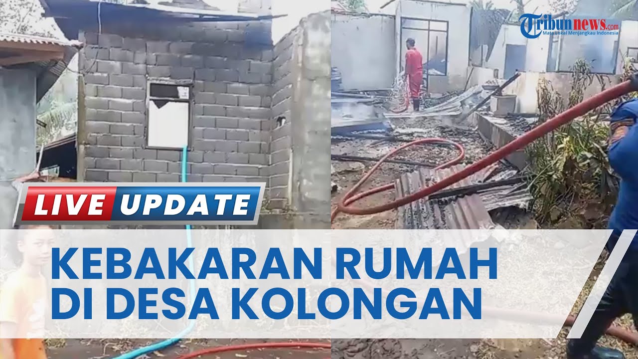 Niat Usir Tawon, Satu Rumah di Kalawat Ludes Dilalap Si Jago Merah seusai Pemilik Bakar Baki ...